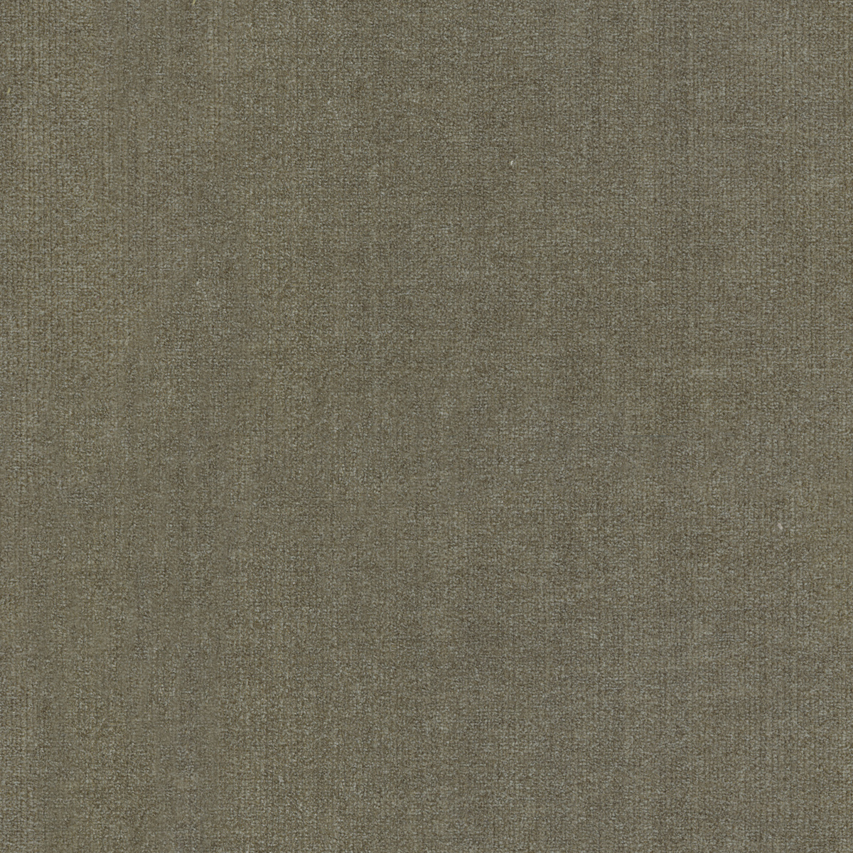 Bellwood | Warwick Fabrics