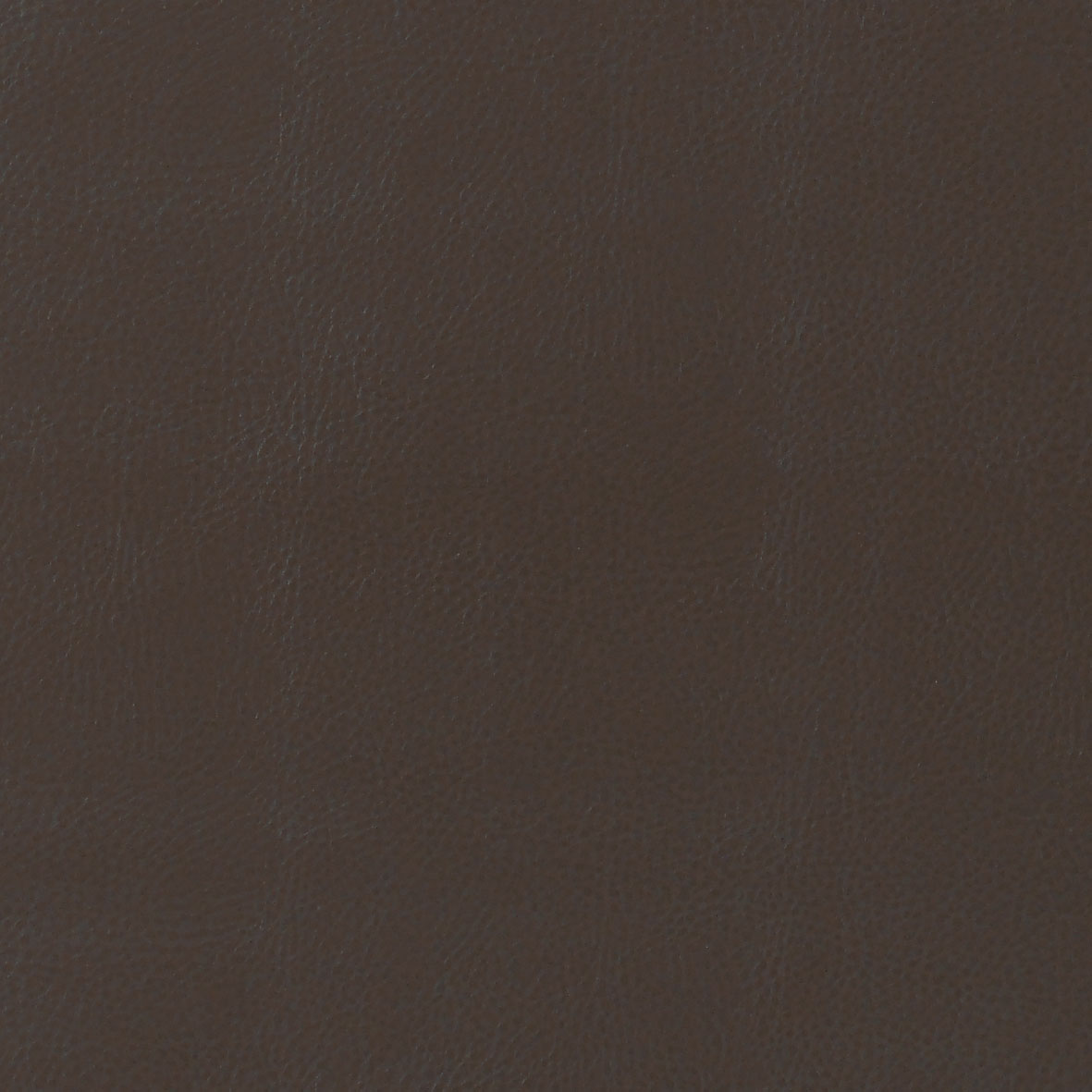 Cabro - DISCONTINUED | Warwick Fabrics